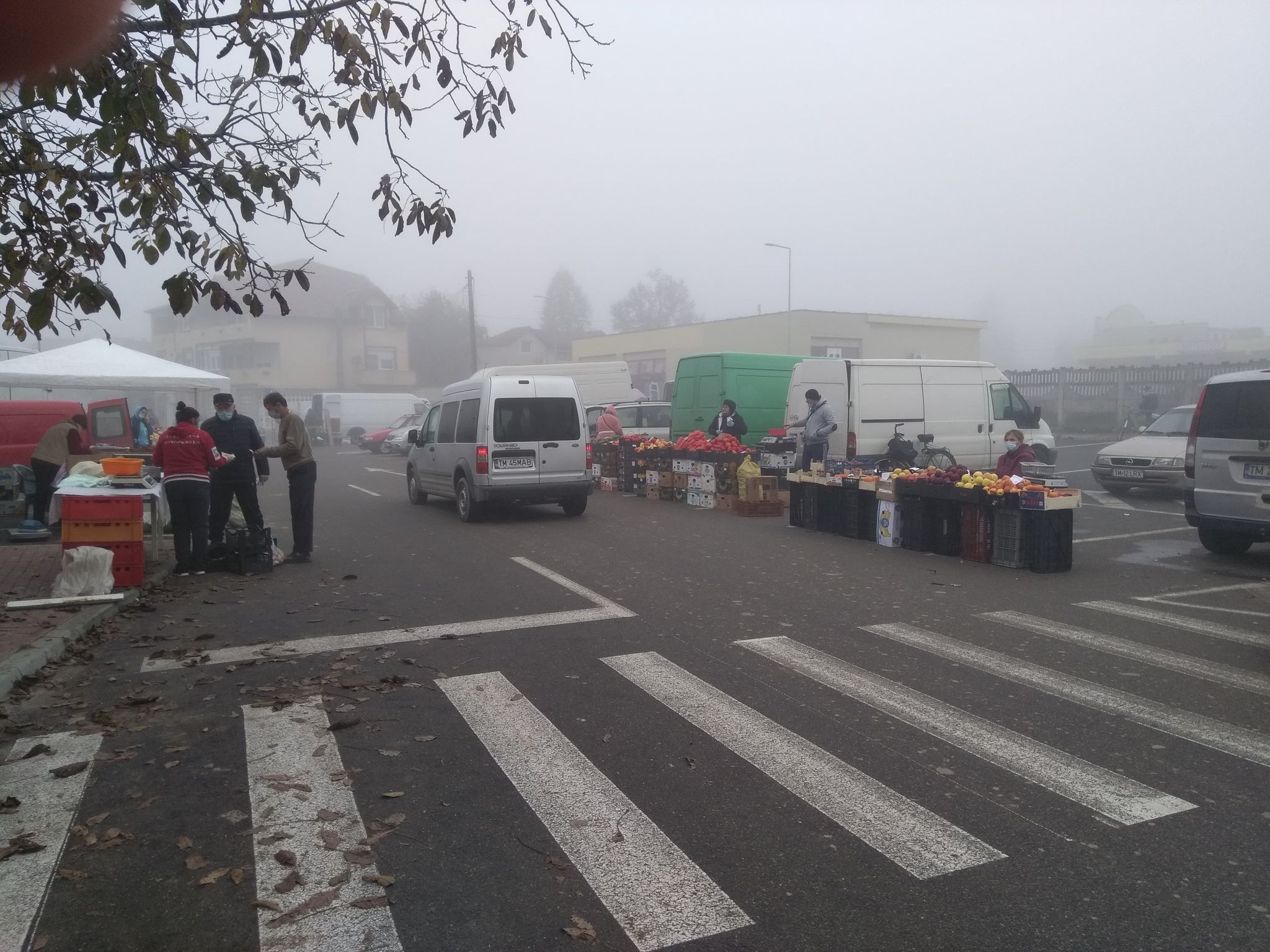 Piața Agroalimentară din Lugoj, la fosta Autogară! Cele din Făget și ...